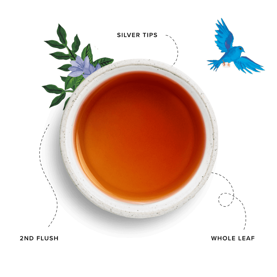 Explore Premium Teas for Every Moment | Finest Blends at 96° Tea – 96 ...